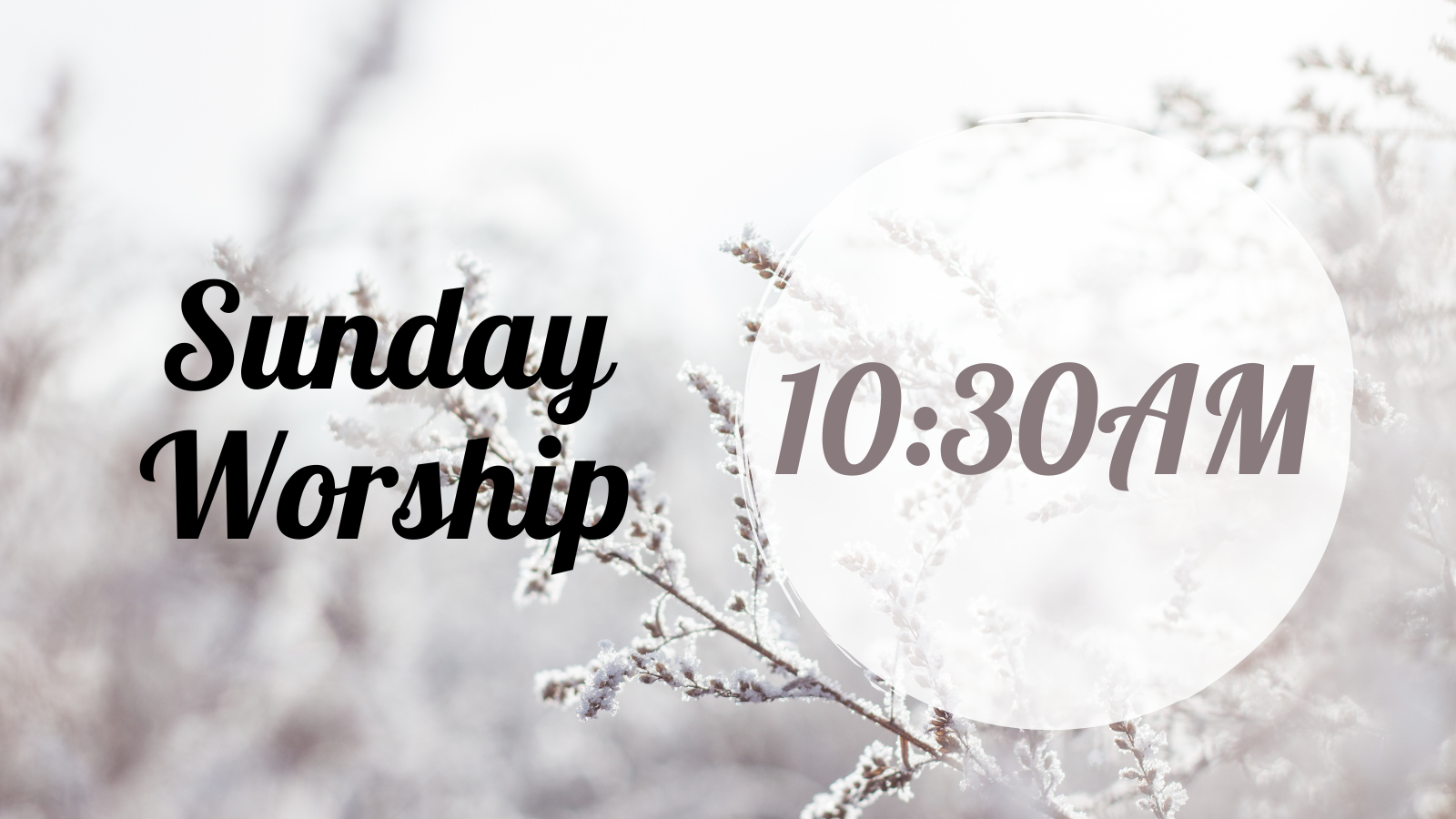 IN-PERSON SERVICE @ HEMBY PROGRAM CENTER | YMCA - Cross Park Church